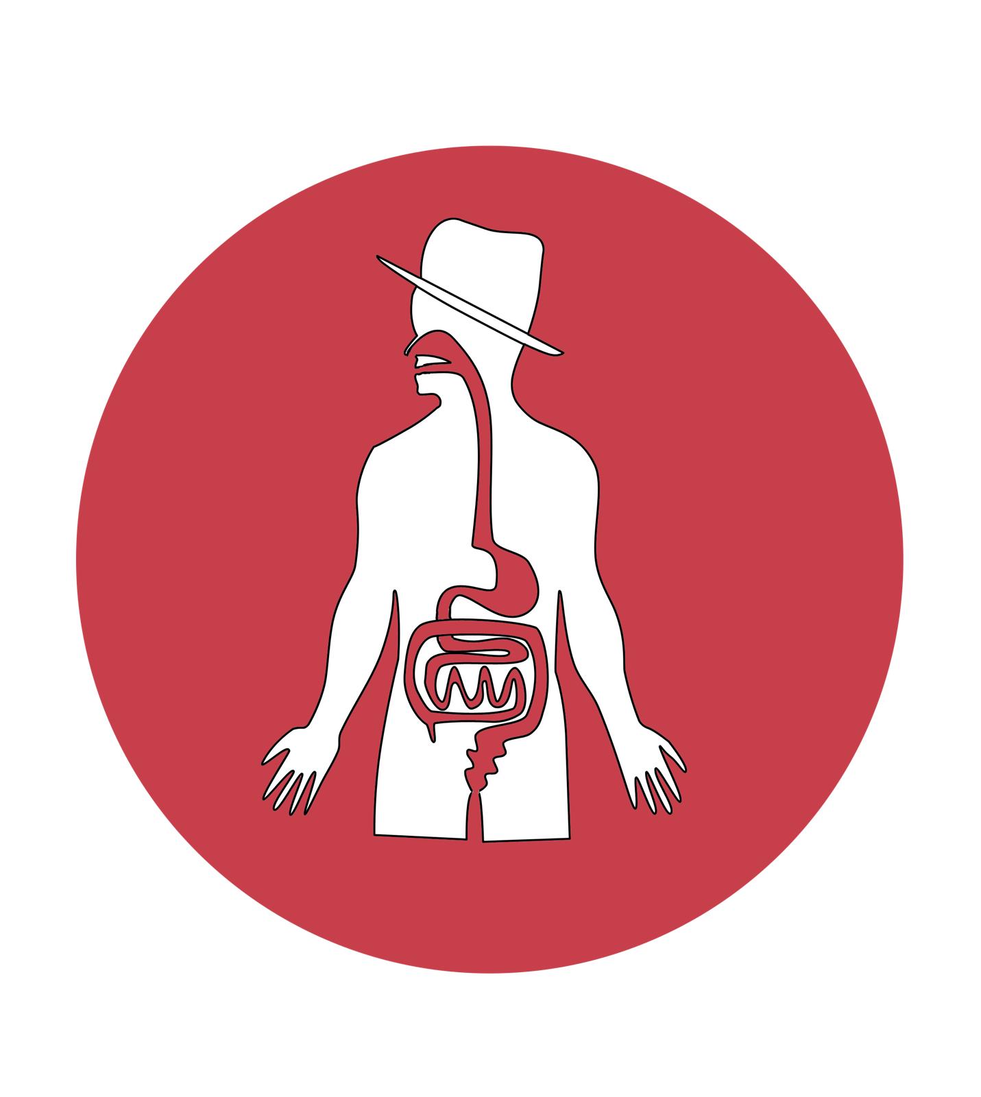 Le tube digestif : Maitre de la digestion - Marye_Lifestyle